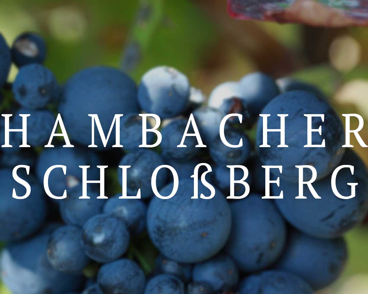 Lagen - Weingut Ludwig Döring